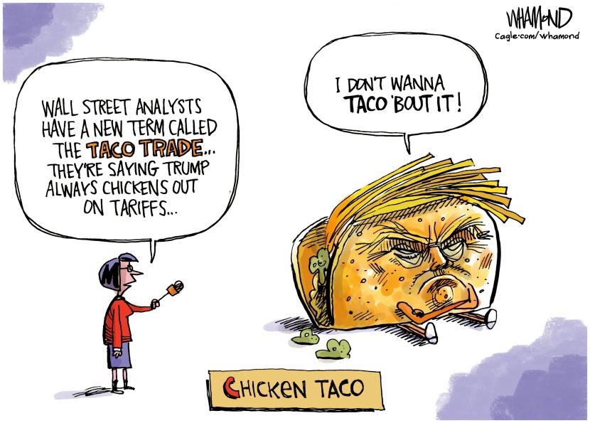 TACO – Esoteric Meandering Shouting Into the Void